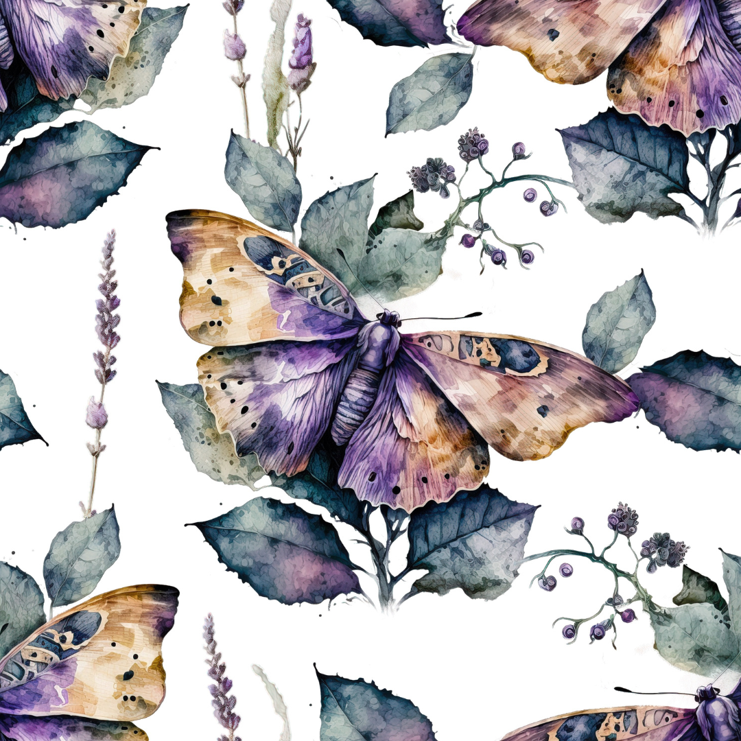 Butterfly Collection – Kimberly Raymond Studios
