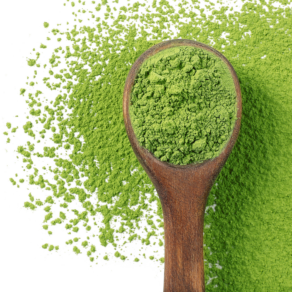 Matcha Candle – Kimberly Raymond Studios