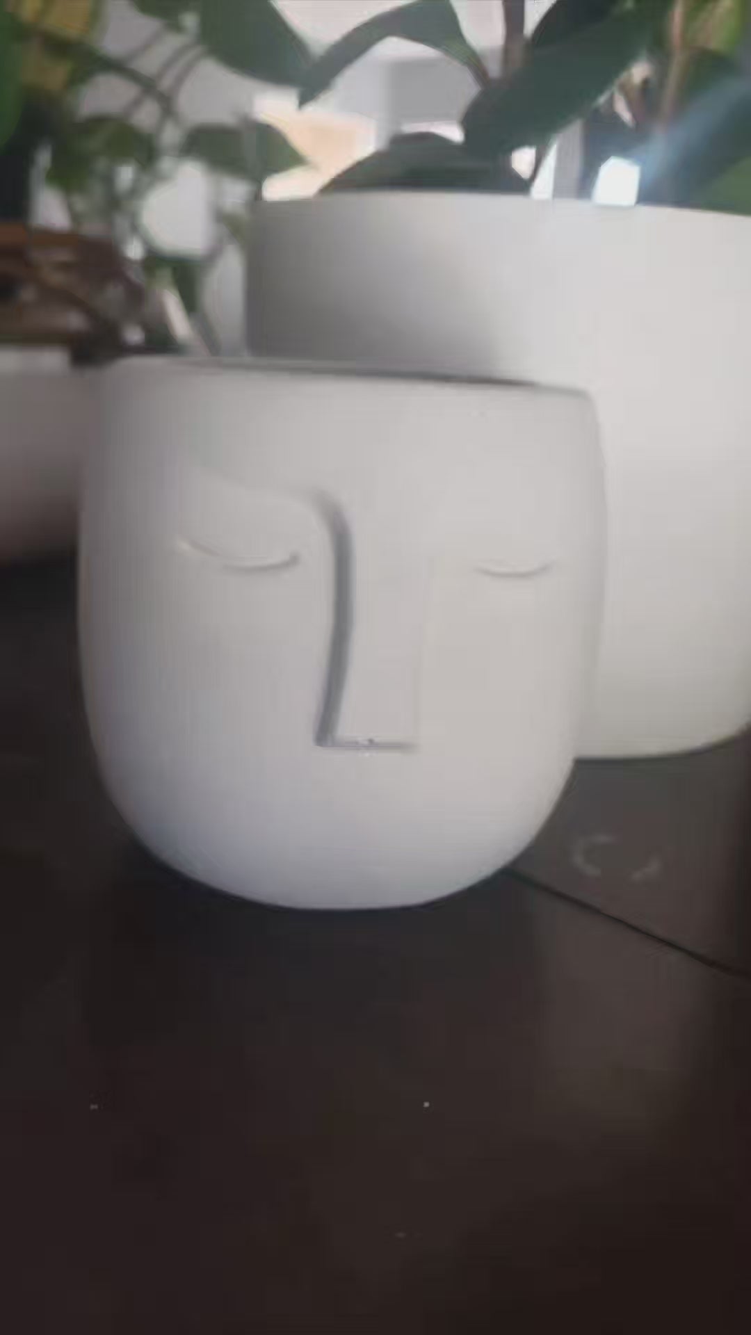 Zen face planter – Kimberly Raymond Studios